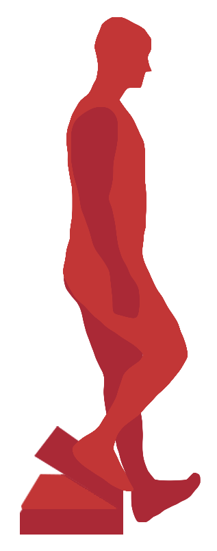 Poliquin Step Up: A Knee Bulletproofing Tool You're Missing Out On