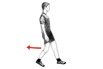 Elevate Your Training with our Knees Over Toes Equipment.