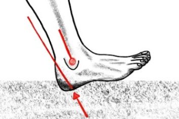 Elevate Your Training with our Knees Over Toes Equipment.